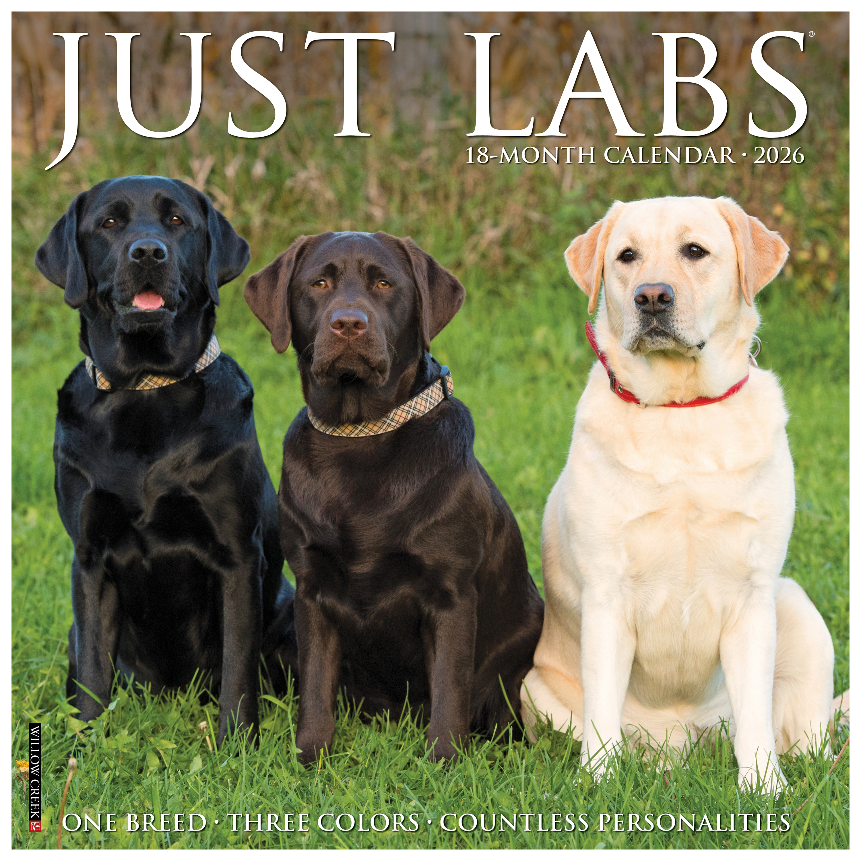 Willow Creek Press 2026 Just Labs 18-Month Wall Calendar | Cabela's